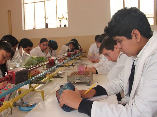 Secundaria | Escuela Normal Occidental